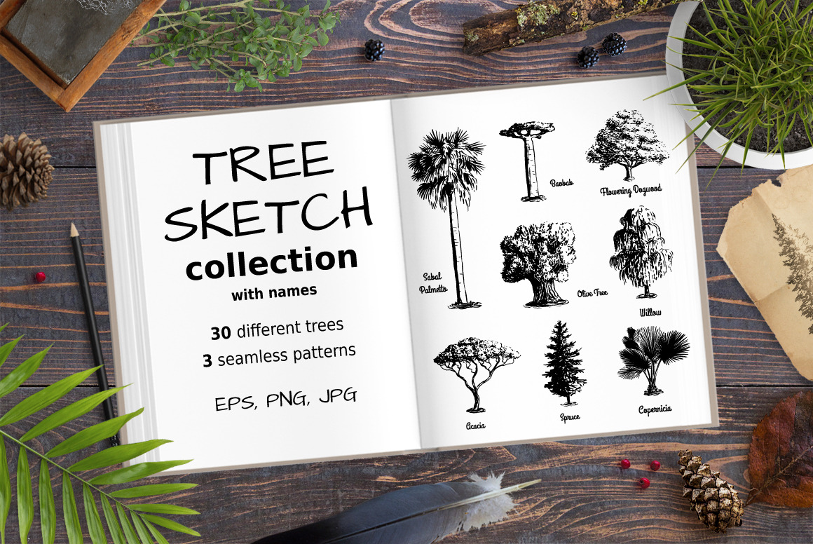 Set of Sketch Trees, an Object Graphic by Olena | Creative Market