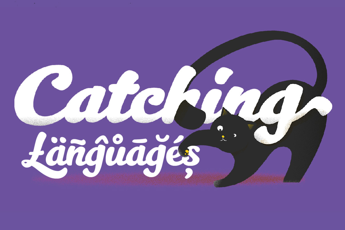 Kitten - 13 fonts, a Script Font by Zetafonts