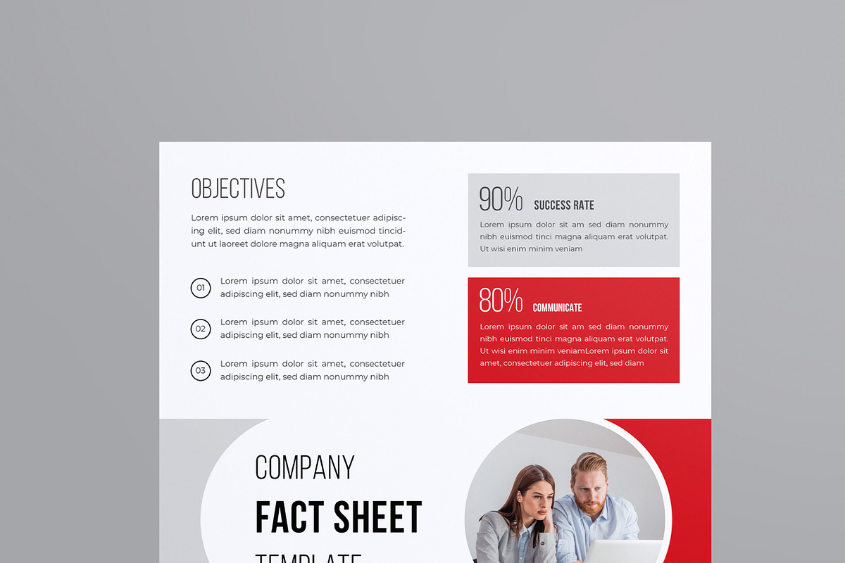 Company Fact Sheet Layout