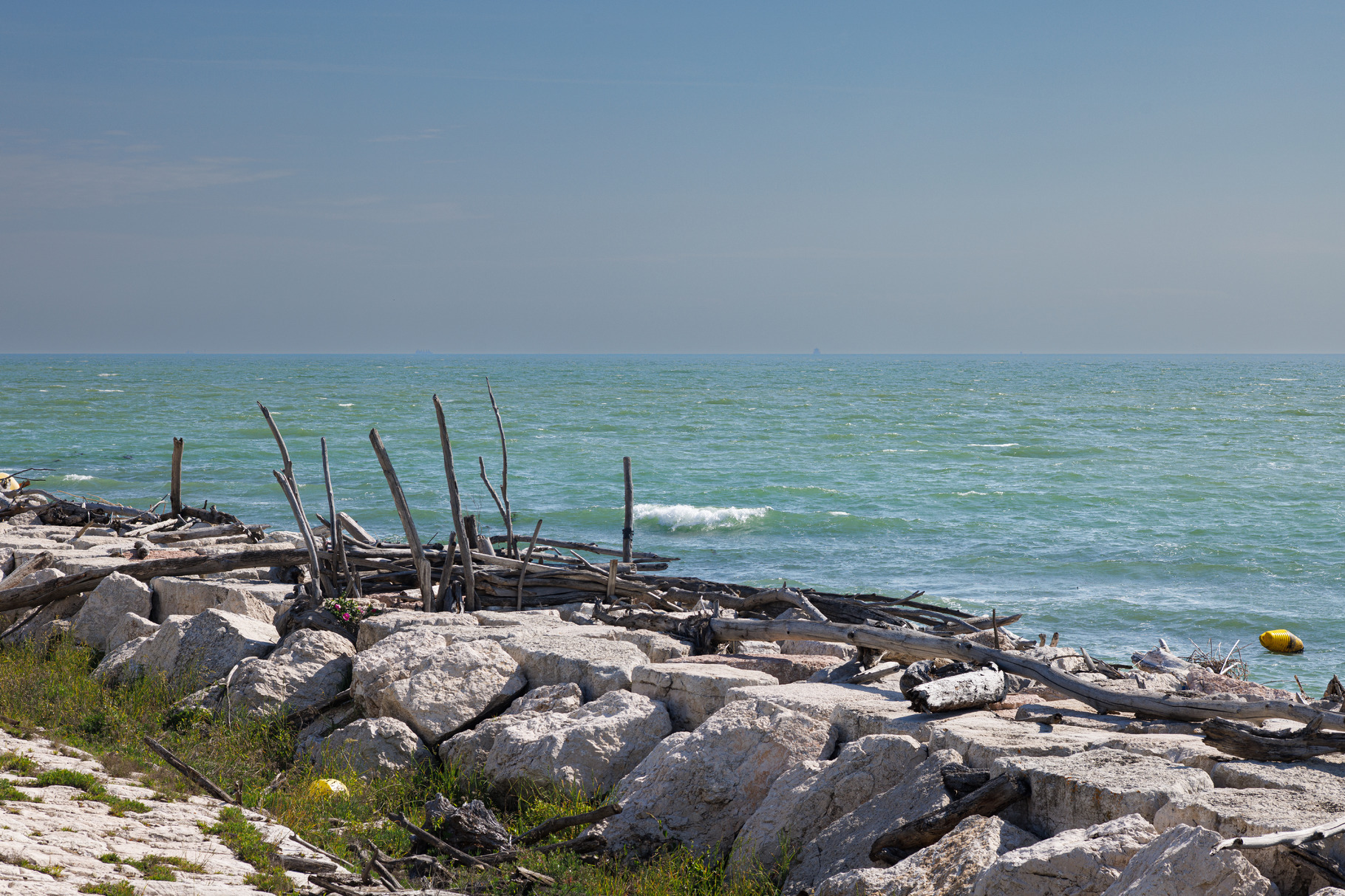 Rotten driftwood, branches, and logs washed ashore by the sea on, a ...