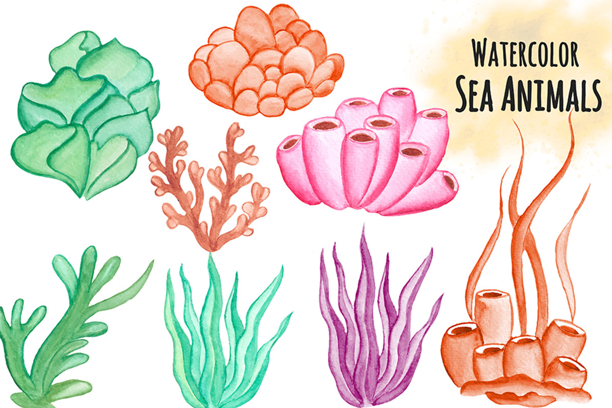 Watercolor Sea Animals Clipart Set | Creative Market