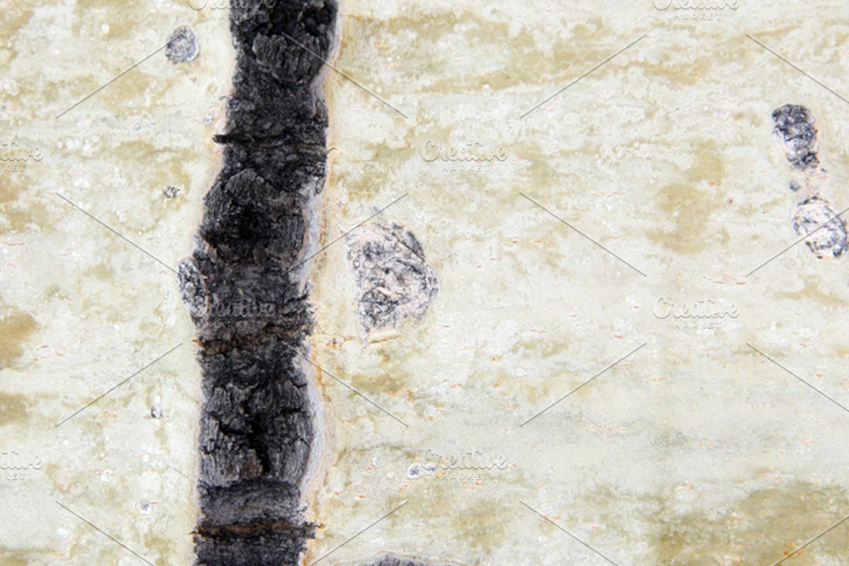 Alphabet Photography Letter L, an Abstract Photo by Artistic Letters