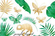 Rainforest & Jungle Clipart Set, an Animal Illustration by The Dutch ...