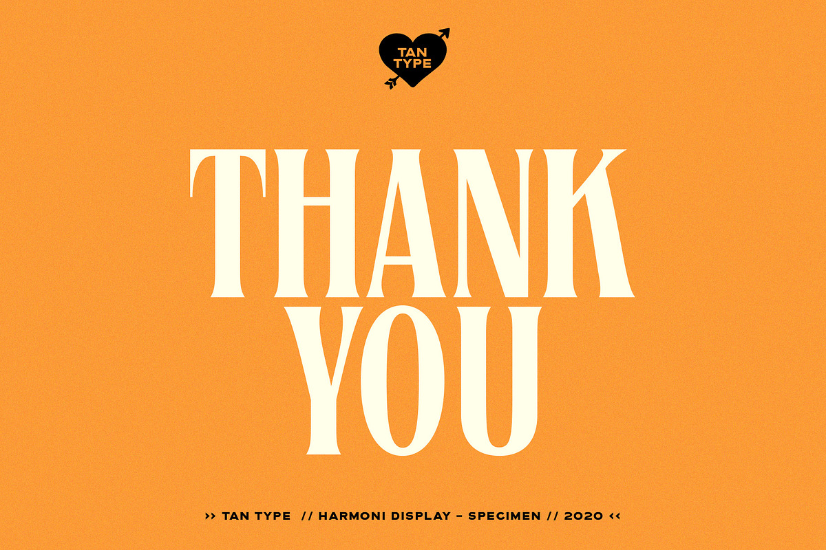 TAN - Harmoni, a Serif Font by TanType