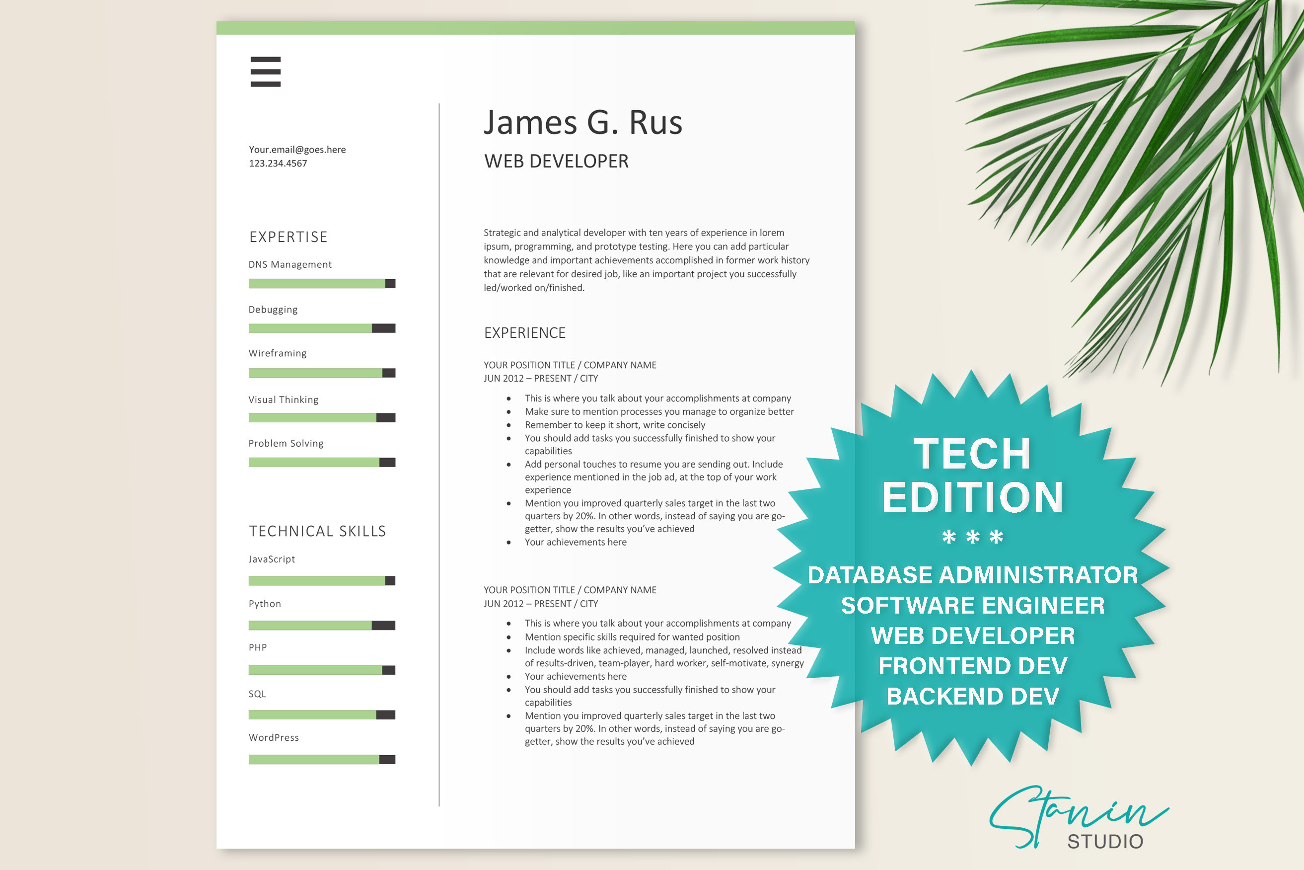 Web developer resume template, a Resume Template by Stanin Studio