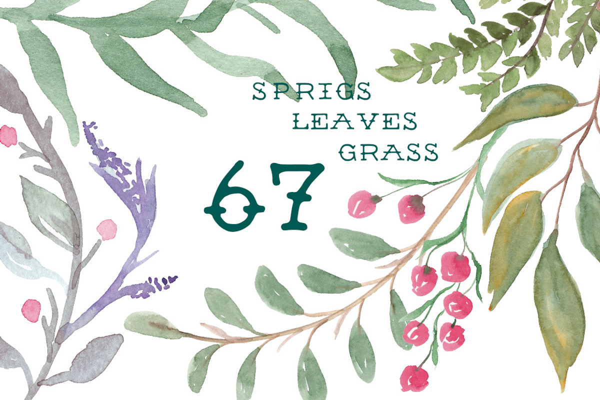 Watercolor sprigs, leaves, grass., an Illustration by ramika