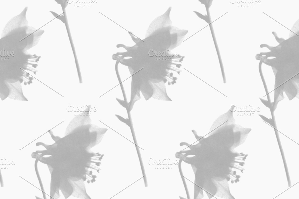 Flower Photoshop brushes, a Brush Add-On by Little Bean