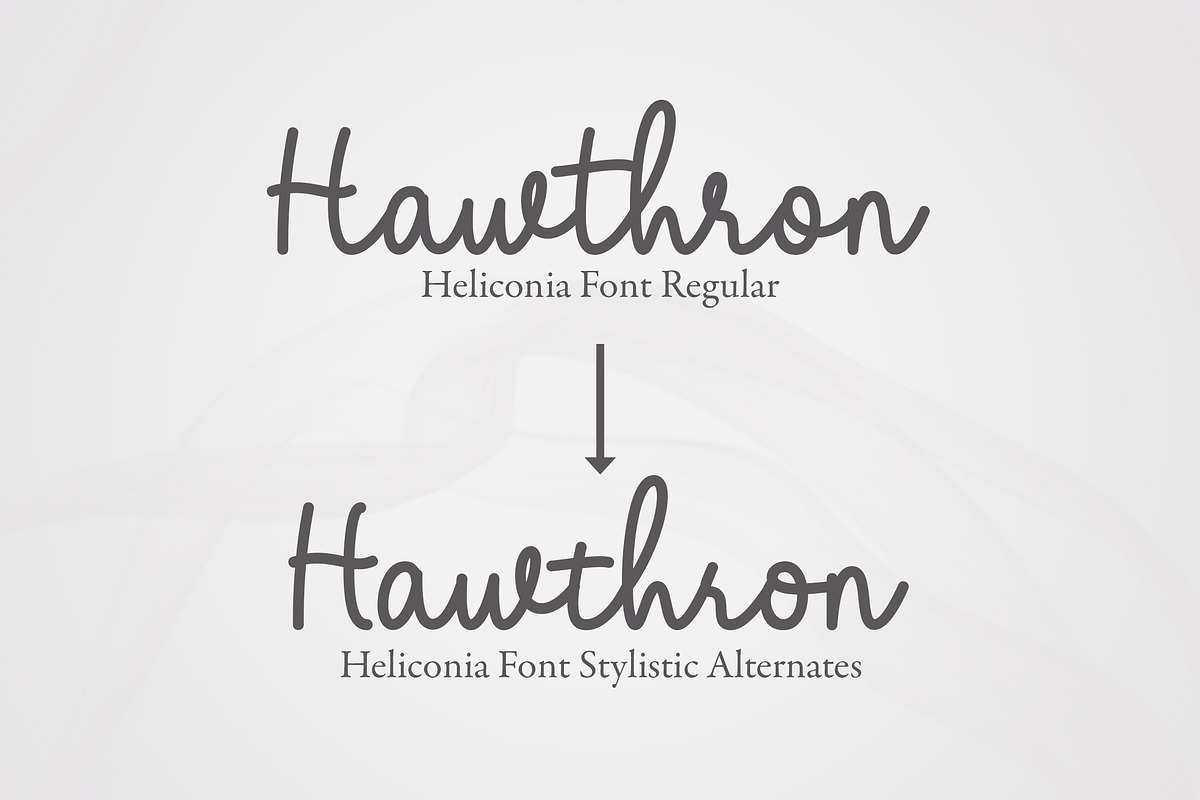 Heliconia - Monoline stylish font