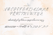 Alesandra Handbrush Script, a Script Font by Creatype Studio | Creative Market