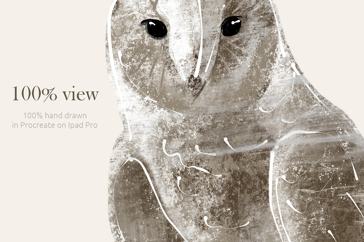 Owls & Roses Hand drawn Graphics, an Animal Illustration by Neutral Mockups