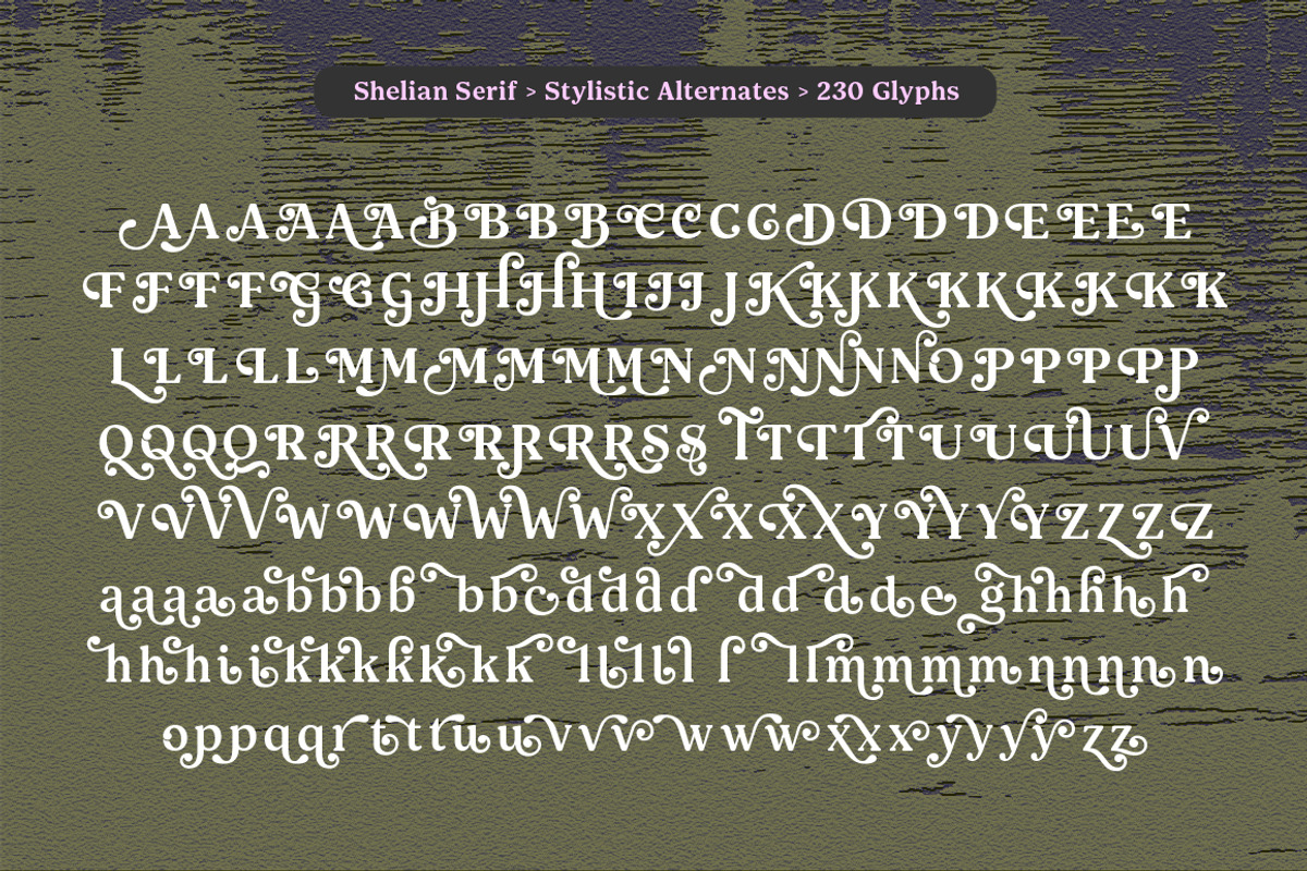 Shelian Typeface, a Serif Font by Seniors