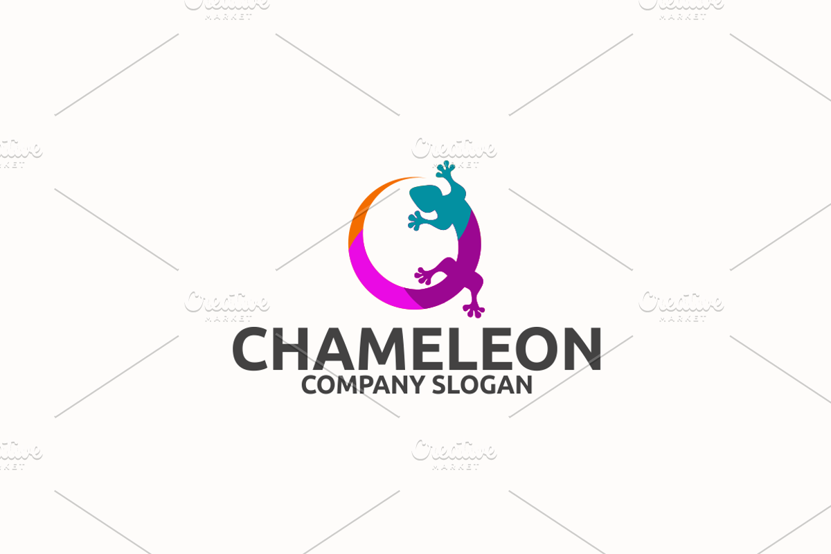 Chameleon, a Branding & Logo Template by Brandlogo