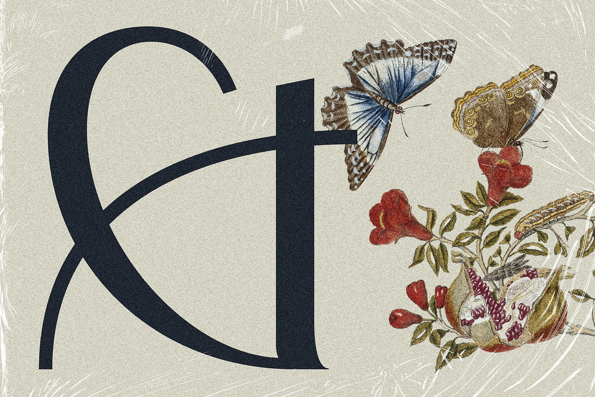 Elio & Oliver - Elegant Sans Serif, a Sans Serif Font by SilverStag ...