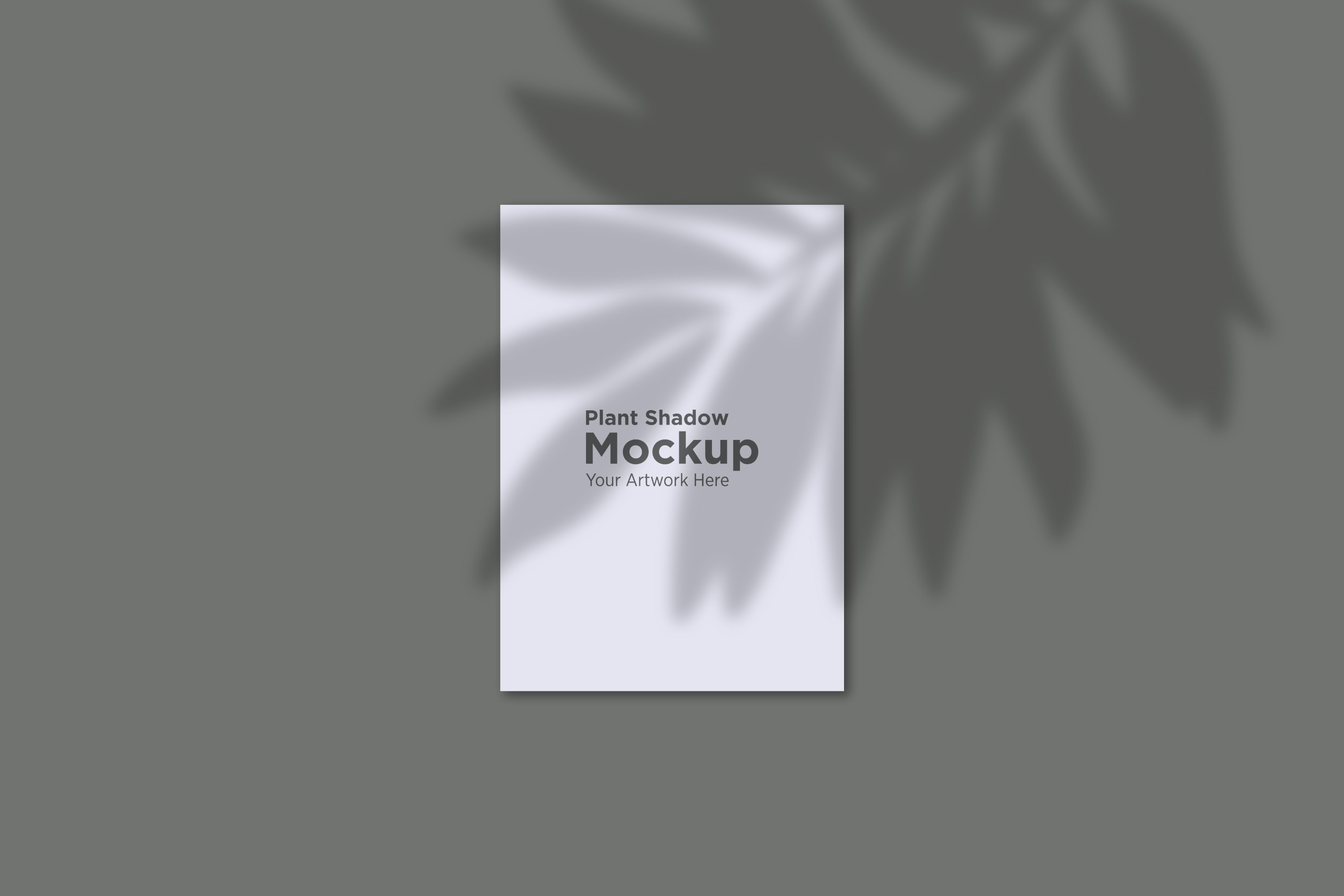 Plant Shadow Mockup Template, a Product Mockup by shahsoft