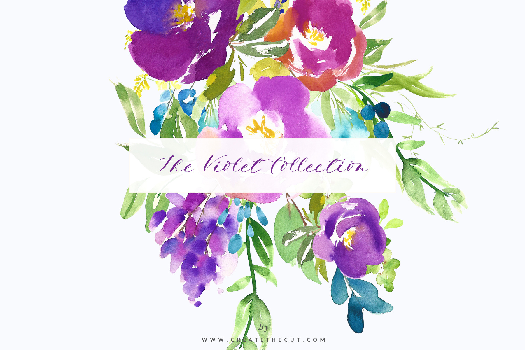 The Violet Collection, an Illustration by Create The Cut