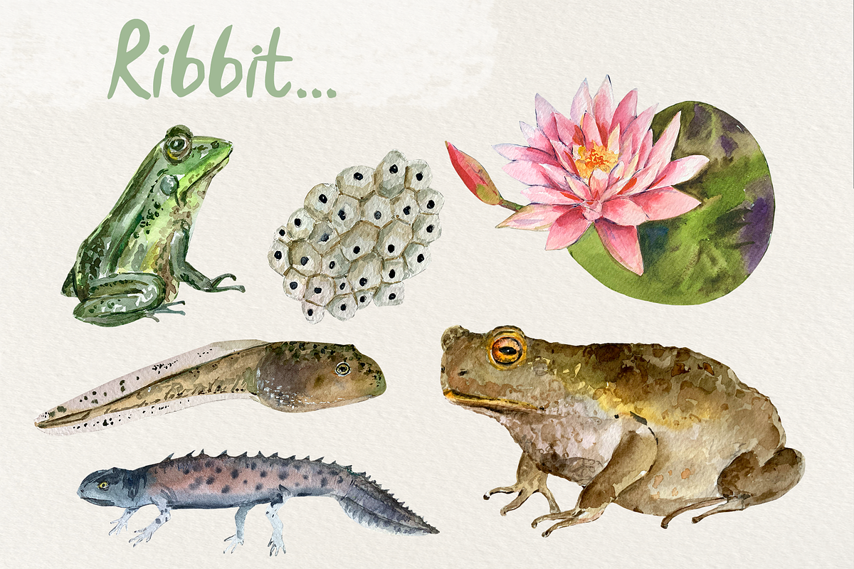 Pond and Lake Clip Arts and Posters, an Education Illustration by Tati ...