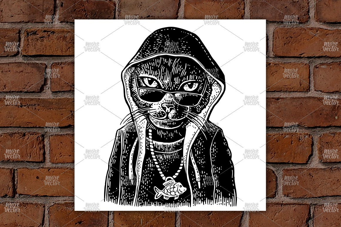 Cat rapper dressed in the hoodie, a Person Illustration by MoreVector