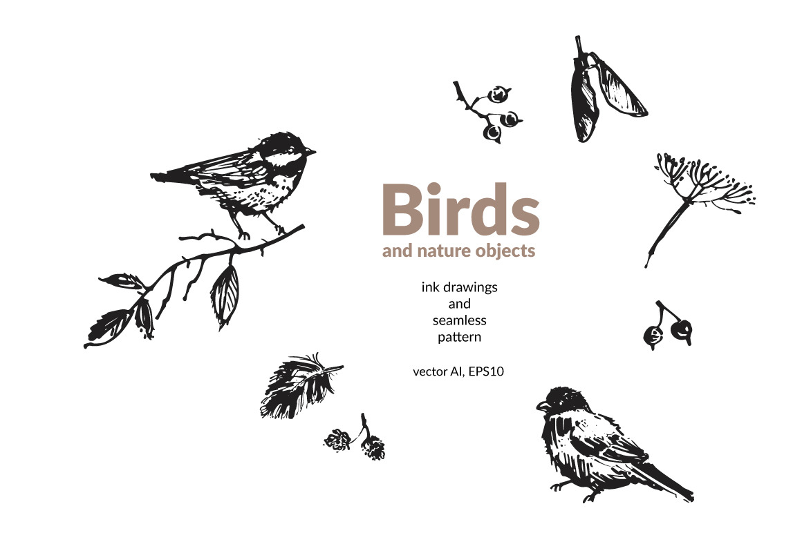 Ink birds, an Animal Illustration by katya.bogina