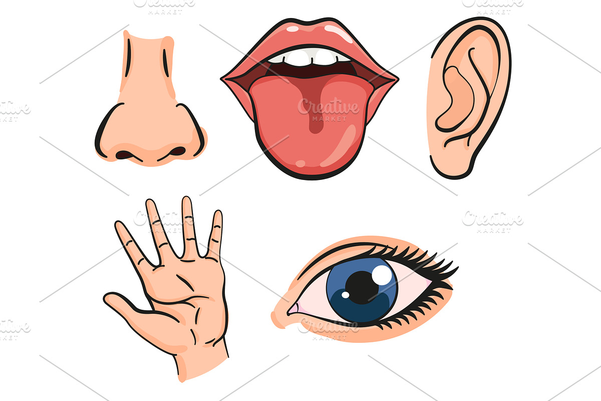 Cartoon sensory organs icons, an Illustration by Things for designers