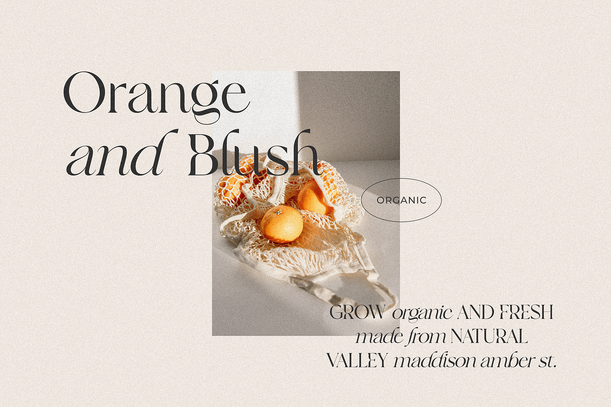 Frunchy Sage - Modern Serif Family, a Serif Font by Sans & Sons