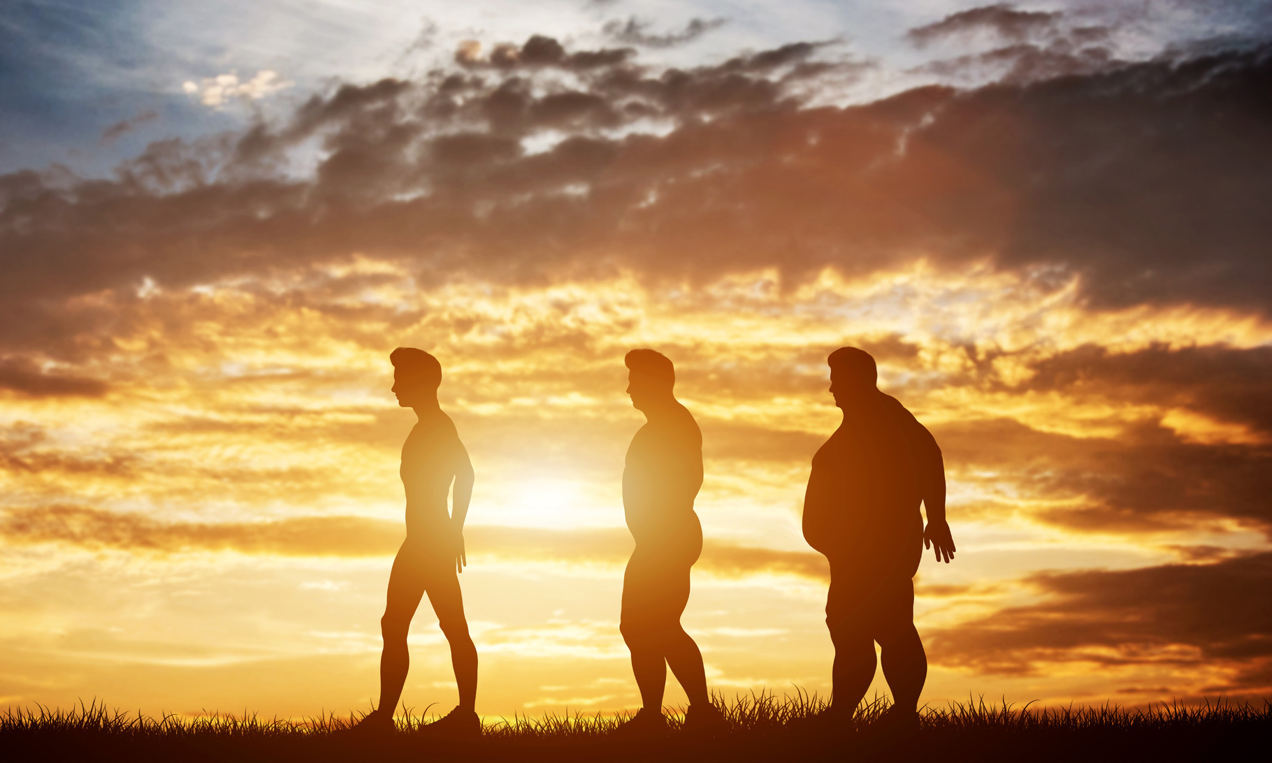Three men silhouettes with different, a Person Photo by Photocreo ...