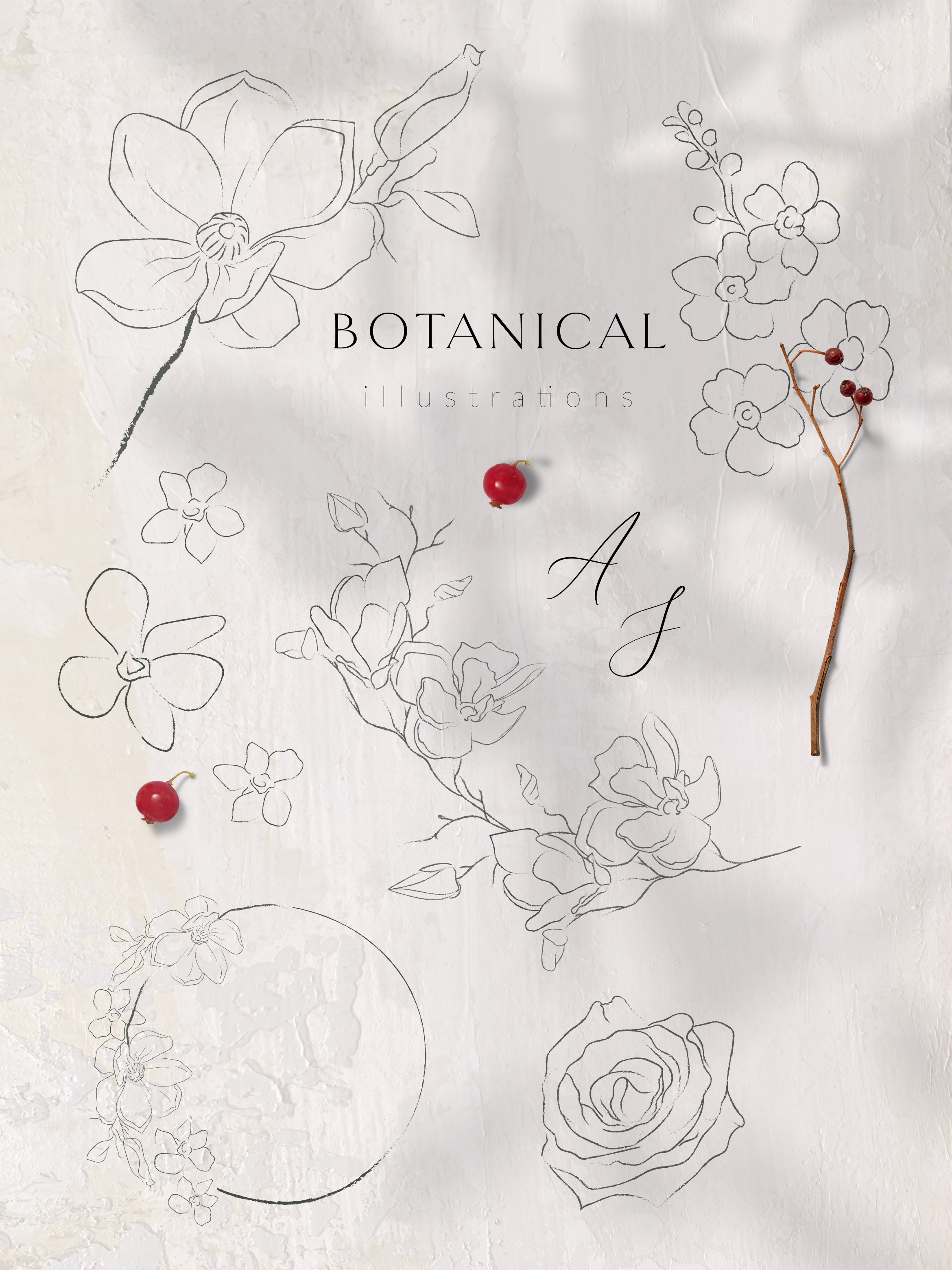 Line Drawing Botanicals, Plants, a Texture Illustration by Olya Creative