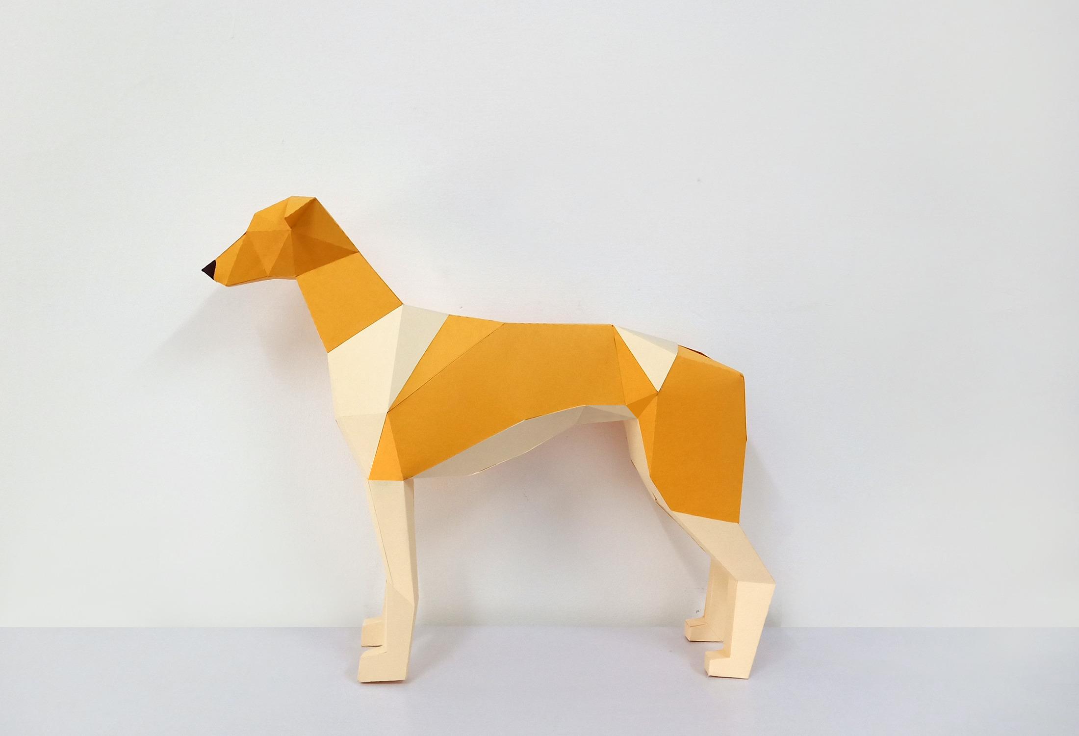 DIY Greyhound dog - 3d papercraft, a Templates & Theme by PAPER amaze