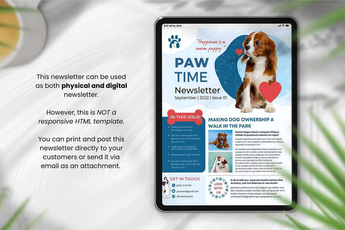 Canva newsletter template for pet dogs
