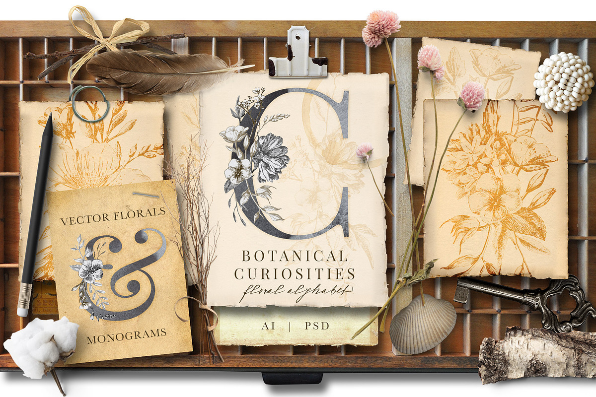 Botanical Curiosities Monograms, an Illustration by Eclectic Anthology ...