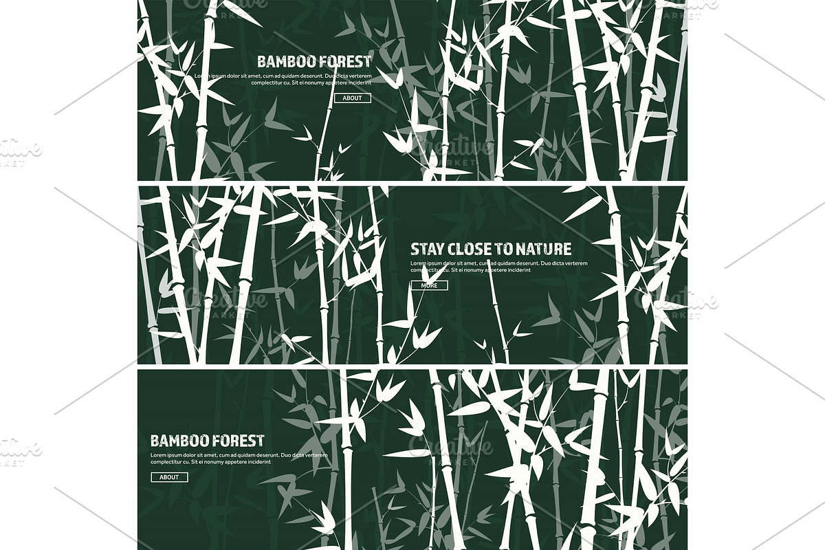 Bamboo forest set. Nature. Japan or, a Decorative Illustration by ...