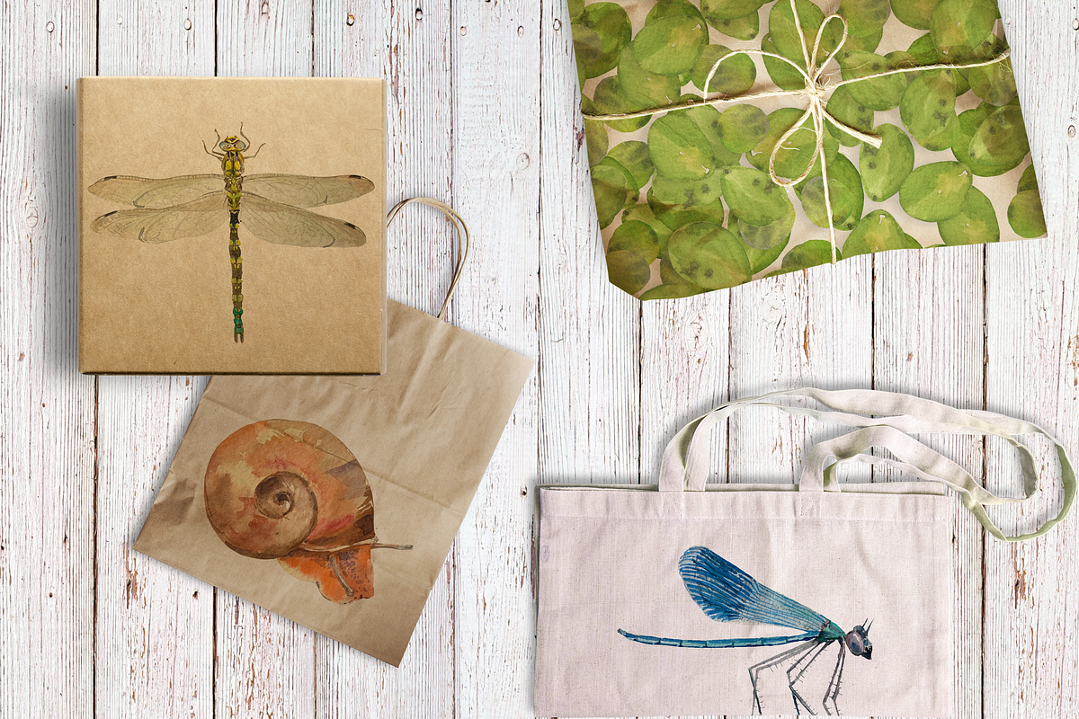 Pond and Lake Clip Arts and Posters, an Education Illustration by Tati ...