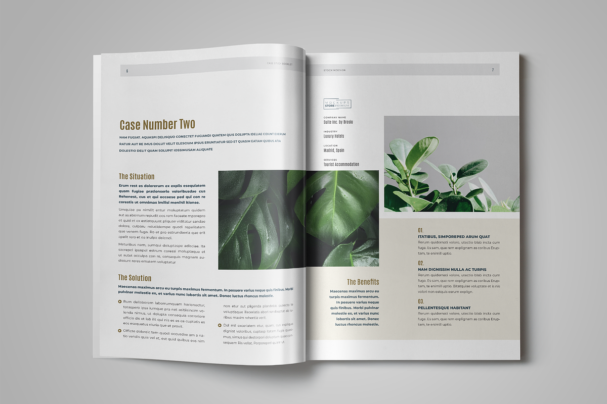 Case Study, a Templates & Theme by StockInDesign