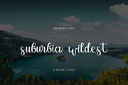 Suburbia Wildest Script, a Script Font by infernostudio3