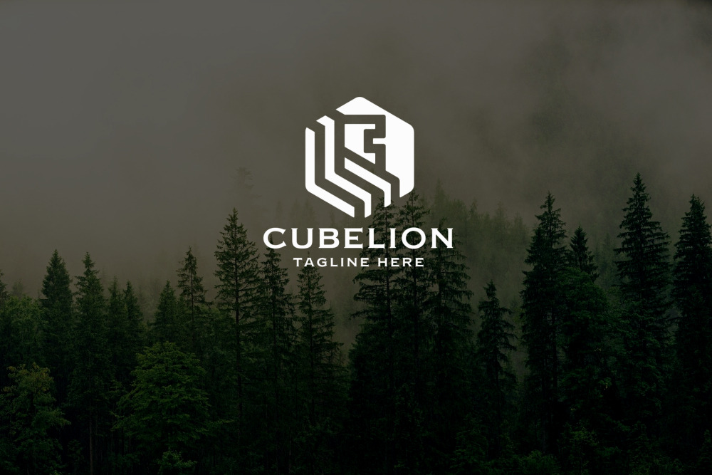Cube Lion Logo | Branding & Logo Templates ~ Creative Market