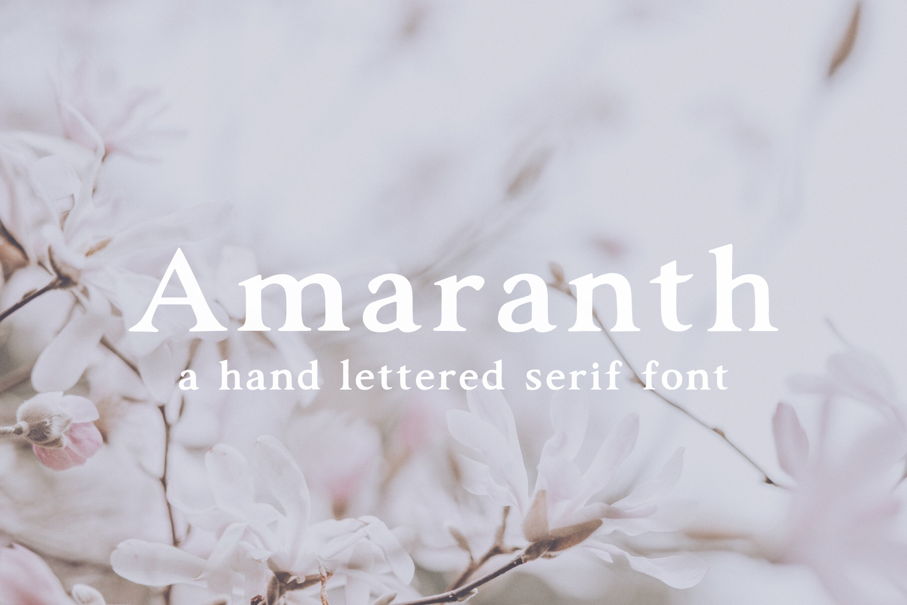 Amaranth | Hand Lettered Serif Font, a Serif Font by MoonLake | Creative Market