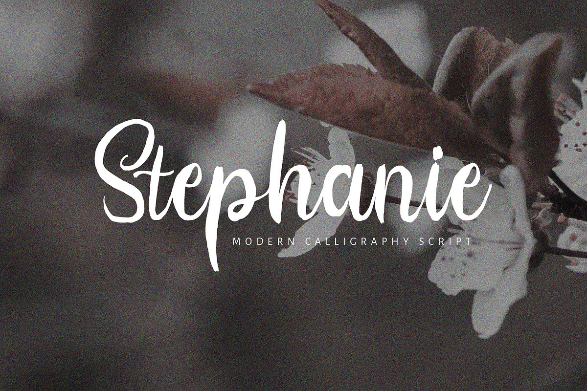 Stephanie Script Font, a Script Font by Analogous