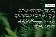 Secret Garden | Classic Font Duo, a Script Font by ElleMarieCalligraphy