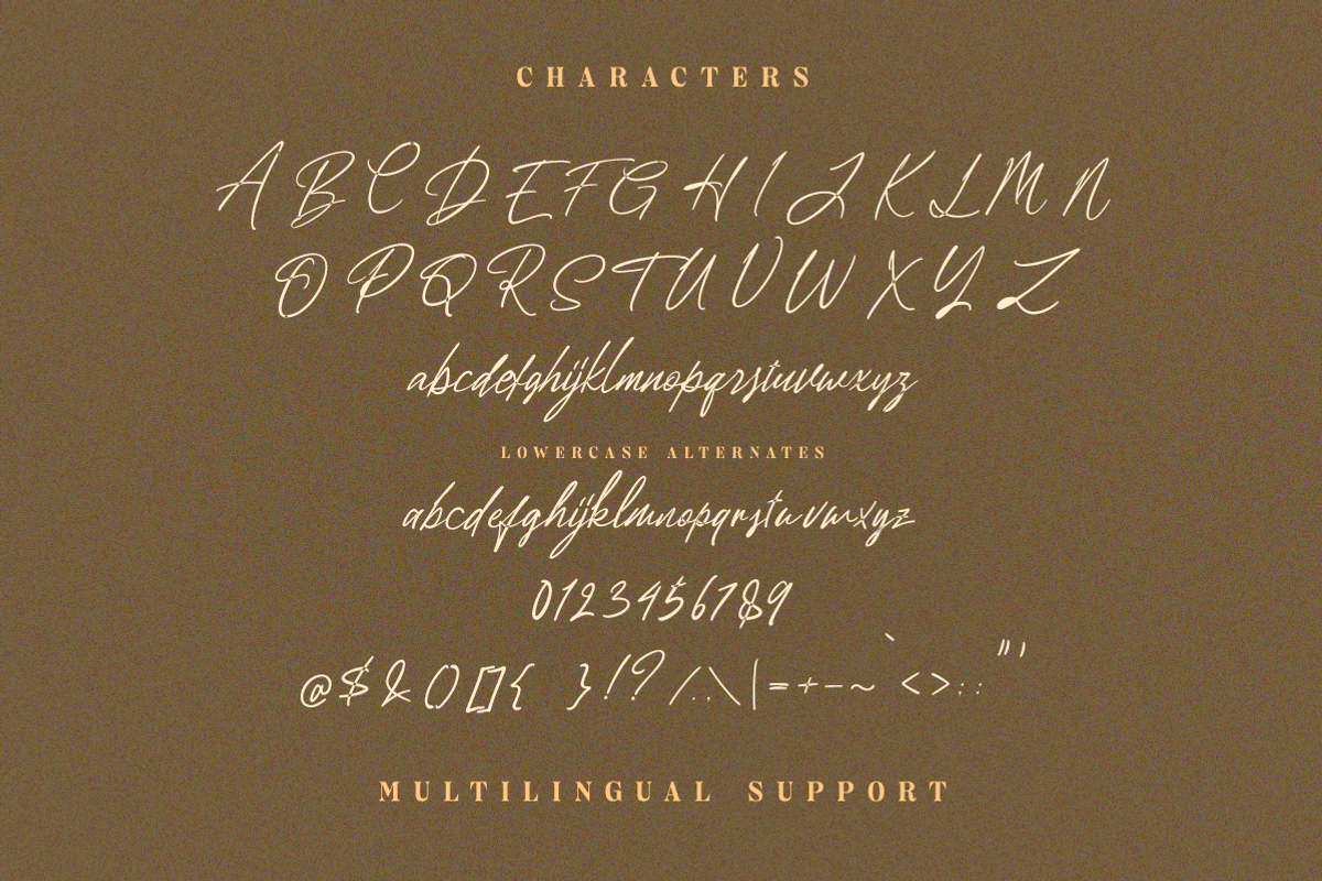 Dianella - Handwritten Script, a Script Font by Letterhend Studio | Creative Market