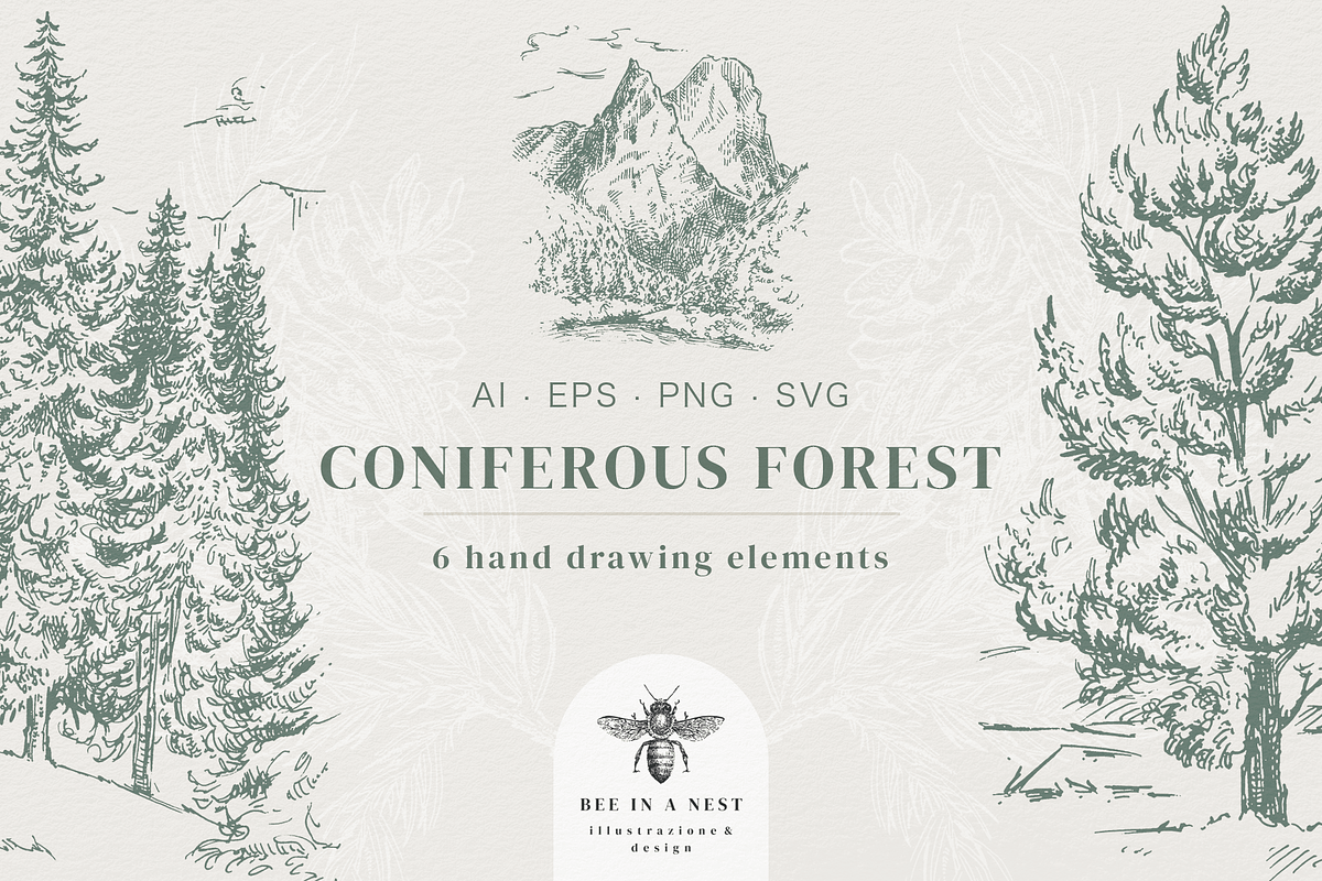 Coniferous Forest line art
