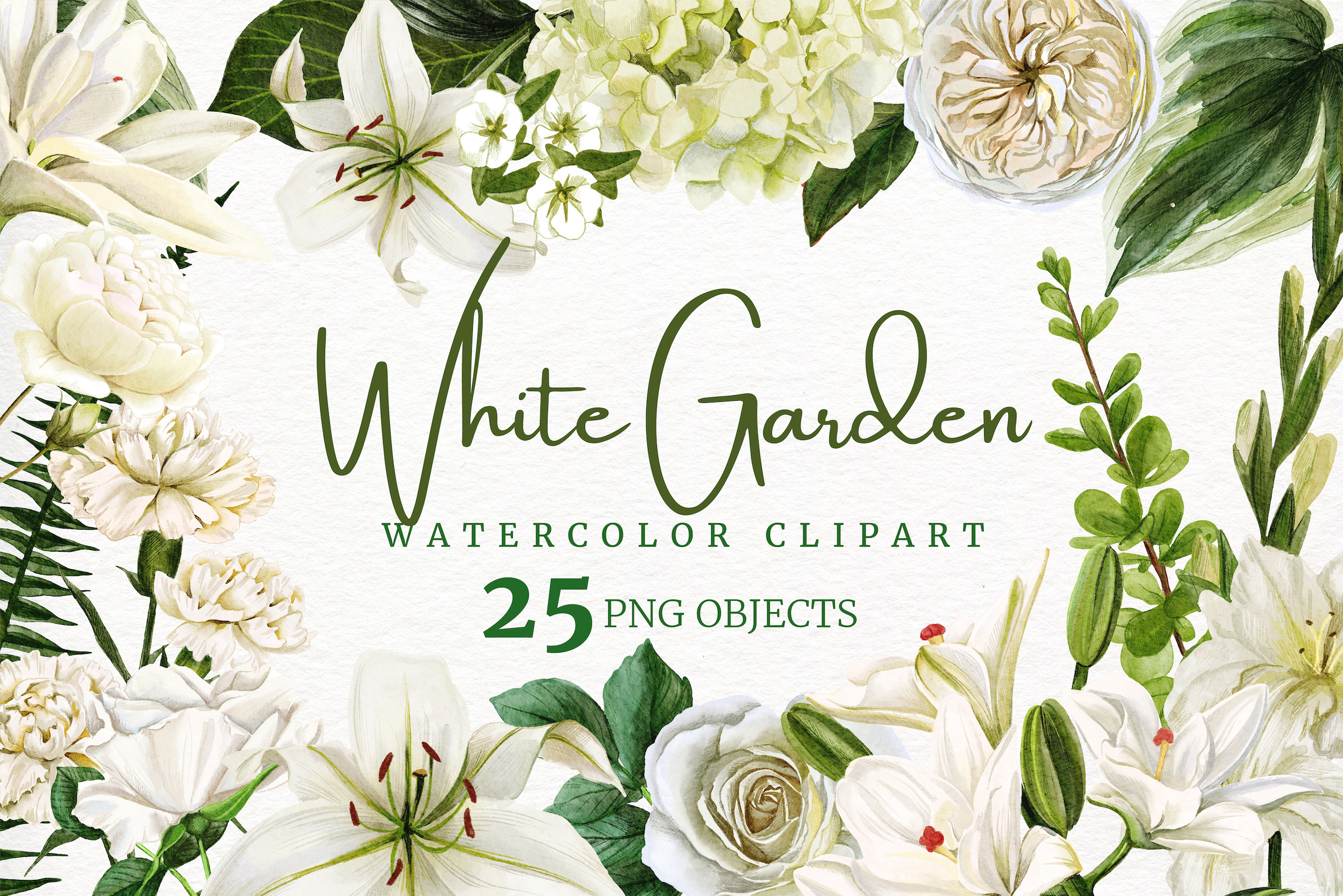 White Flowers Watercolor Collection, an Object Graphic by JSolomatina