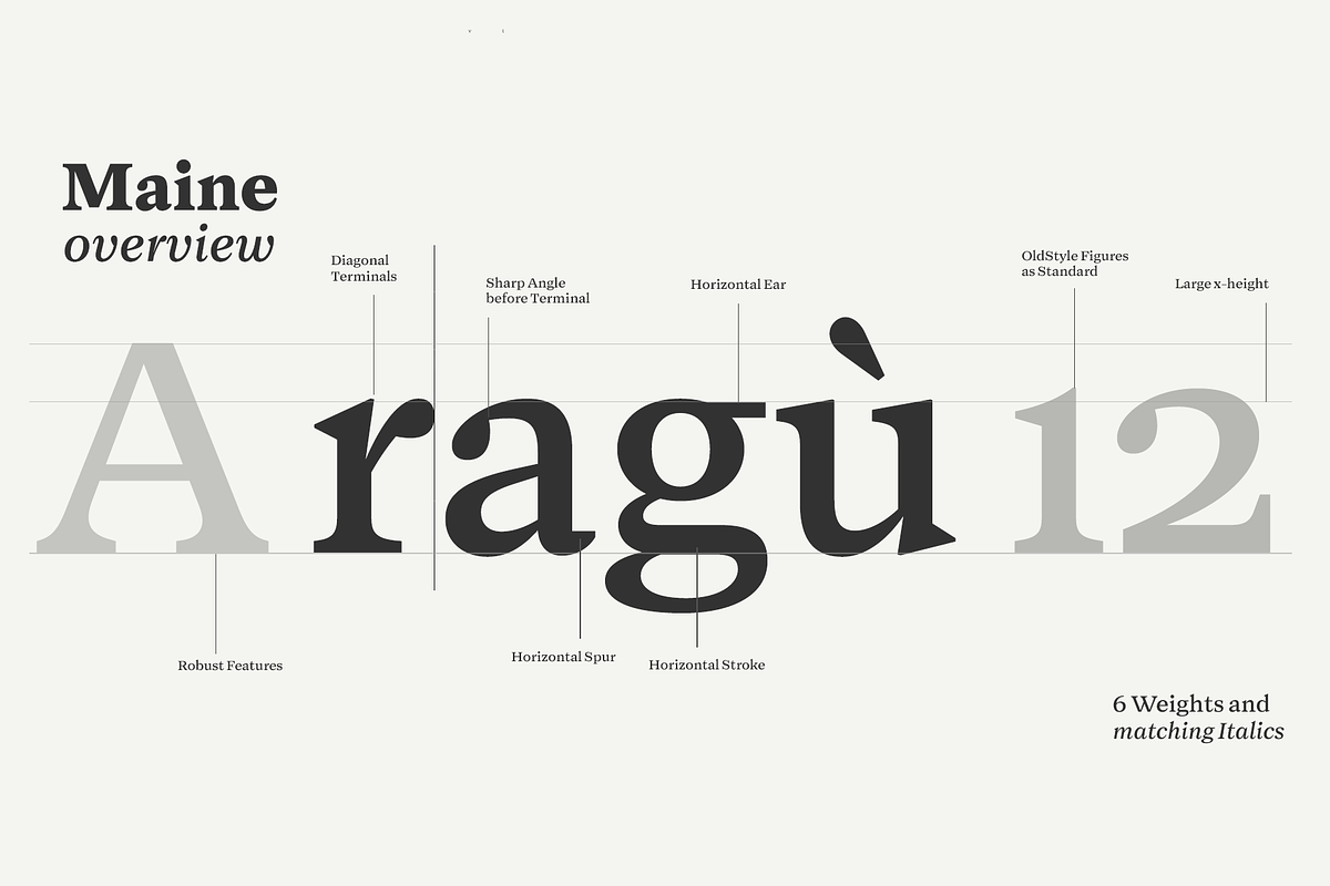 Maine -Book Antiqua Family, a Serif Font by Fenotype