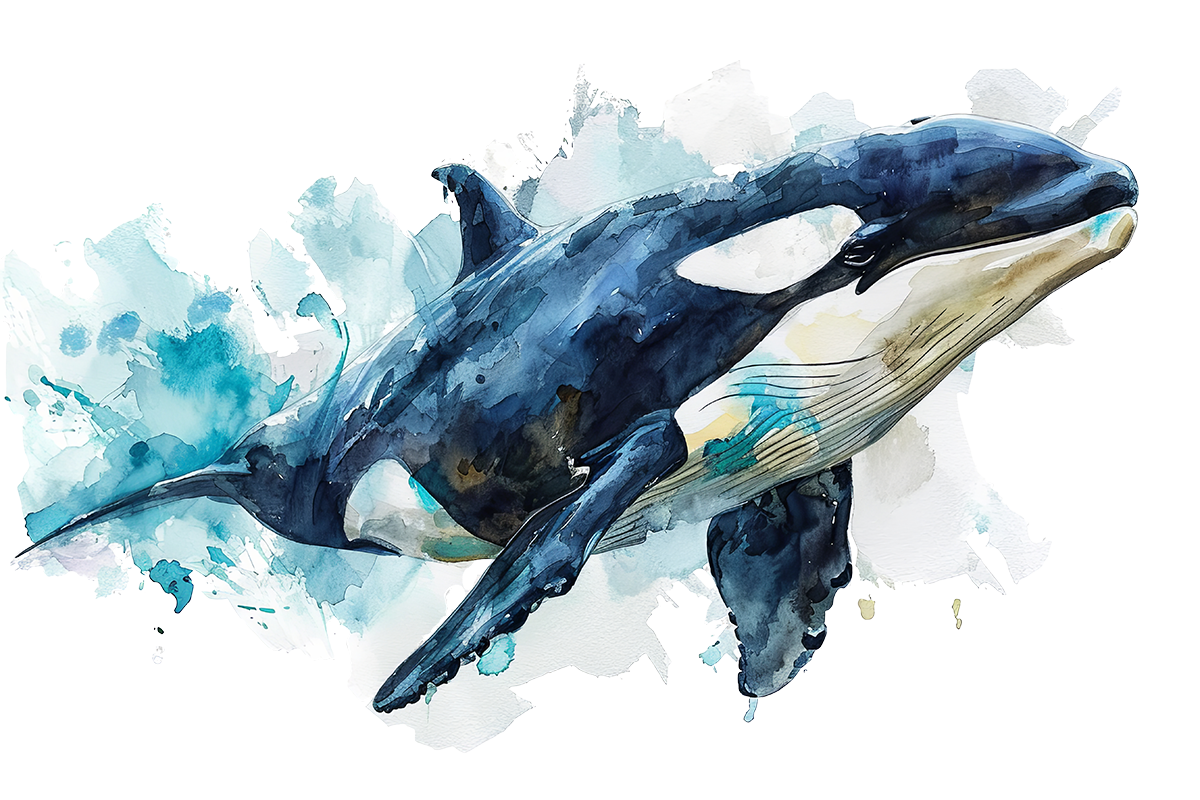 Watercolor sea animals clipart png