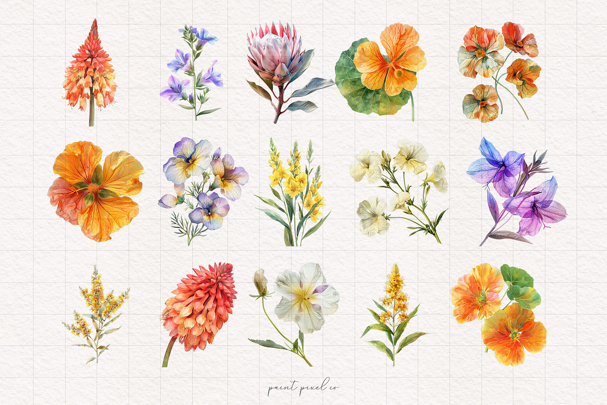 Autumn Flowers Clip art, a Decorative Illustration by PaintPixelCo