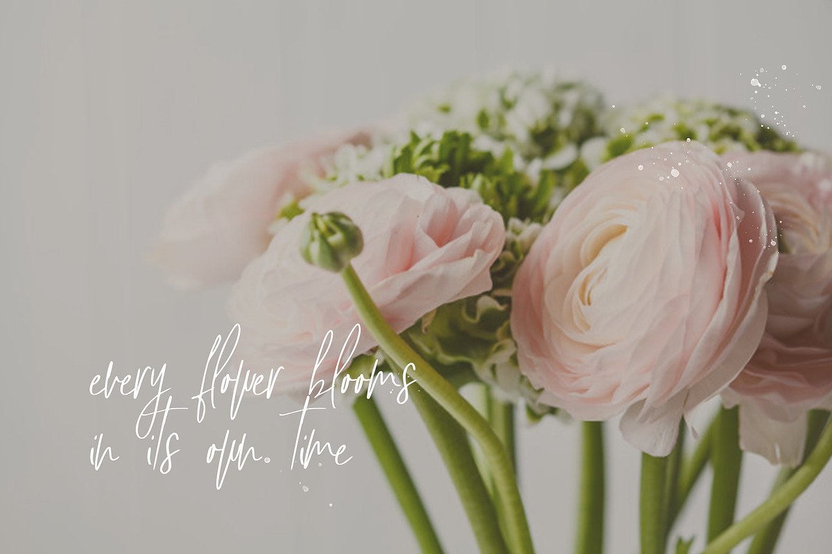 Longwood Font, a Script Font by SophieSaxo