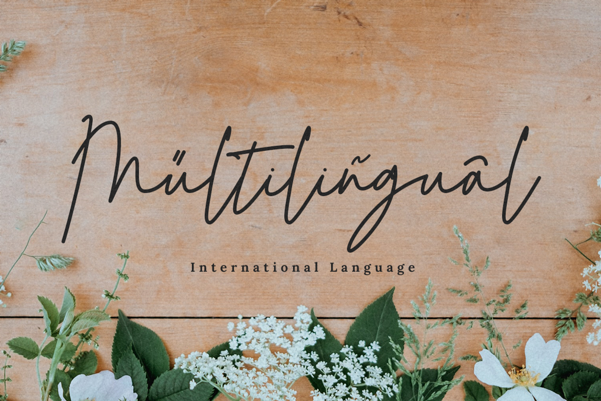 Alexandra Monoline Script, a Script Font by Creatype Studio