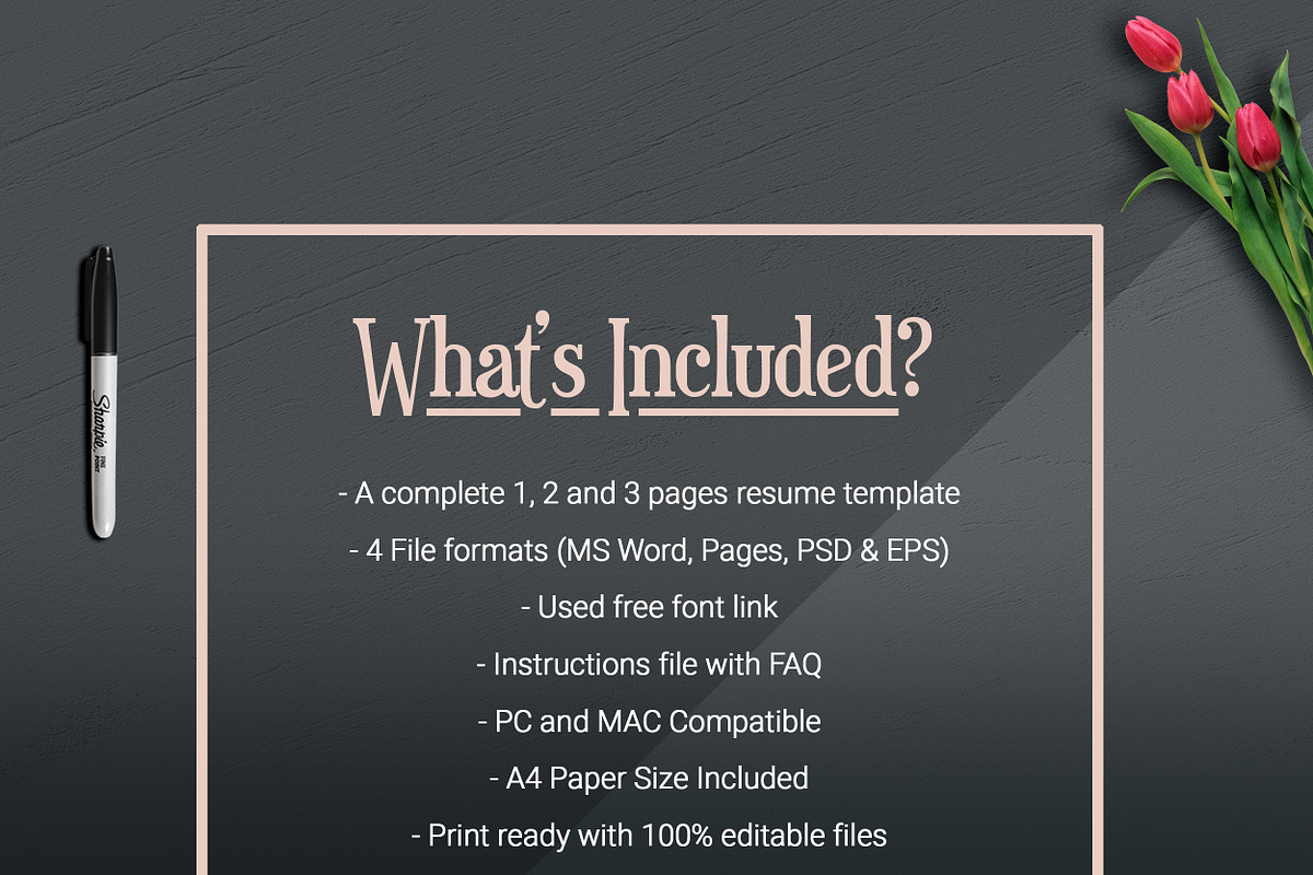 3 Pages Clean CV Template | MS Word, a Resume Template by ResumeInventor
