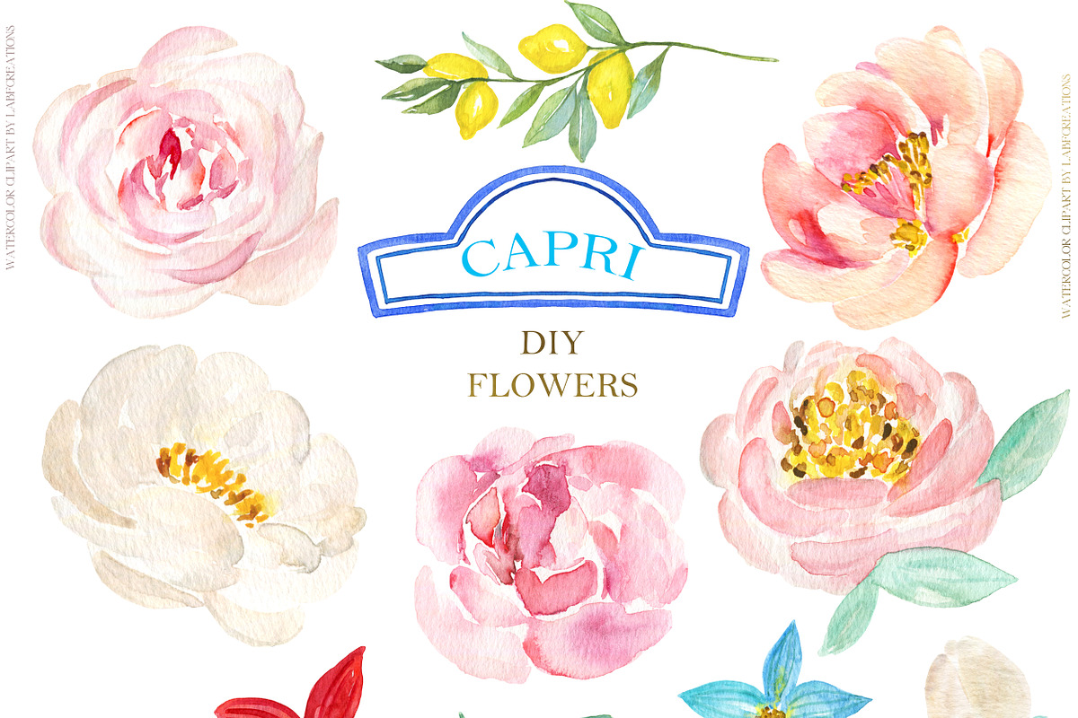 CAPRI Watercolor Clipart Collection