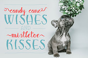 Red Noses | A Serif Display, a Serif Font by ChristineTeixeira