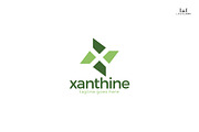 Xanthine -Letter X Logo, a Branding & Logo Template by LogoLabs
