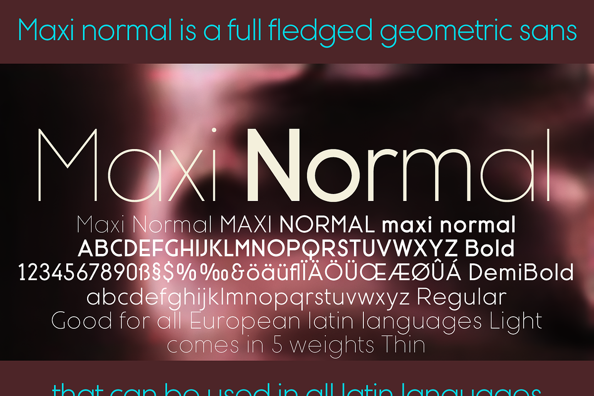 Maxi fonts, a Sans Serif Font by Wiescher Design